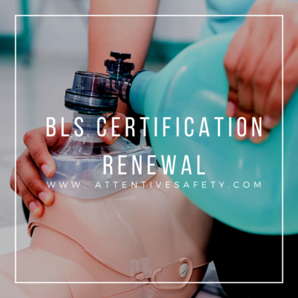 Key Changes in Recent BLS Renewal Guidelines | 'Monomousumi'