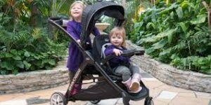 Beyond the Basics: Unique Features in Today’s Baby Strollers ...