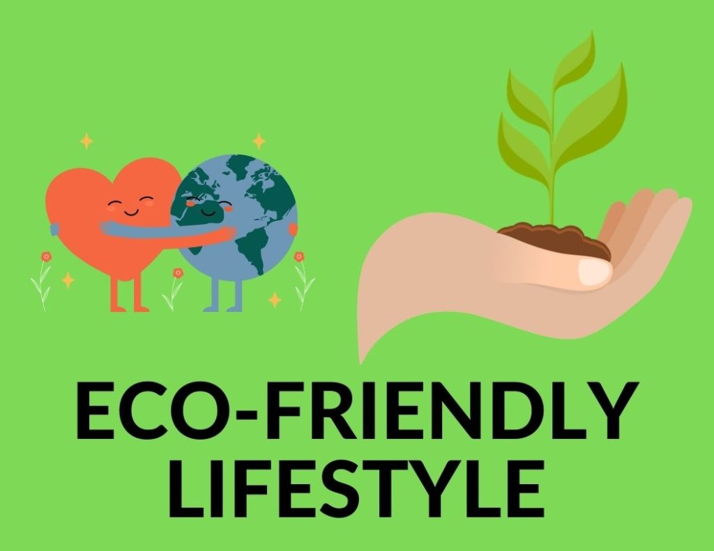 Small Steps for an Eco-Friendly Lifestyle | 'Monomousumi'