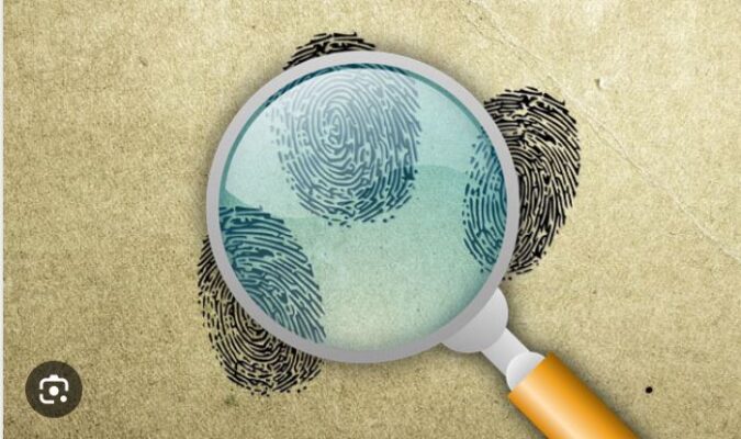 The Importance of Forensic Evidence in Solving Cold Cases | 'Monomousumi'