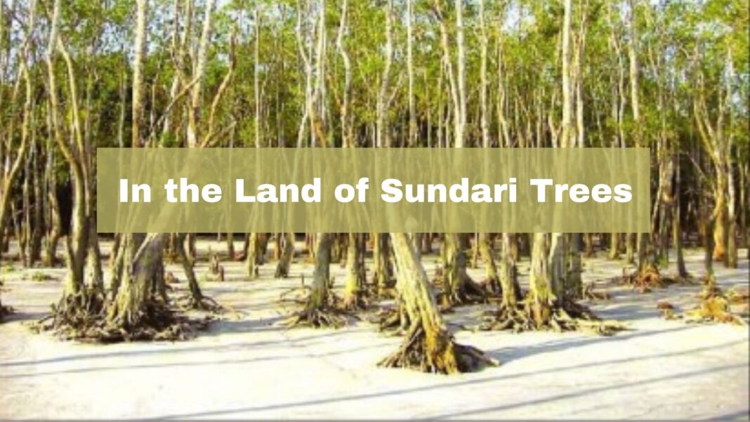 In the Land of Sundari Trees | 'Monomousumi'