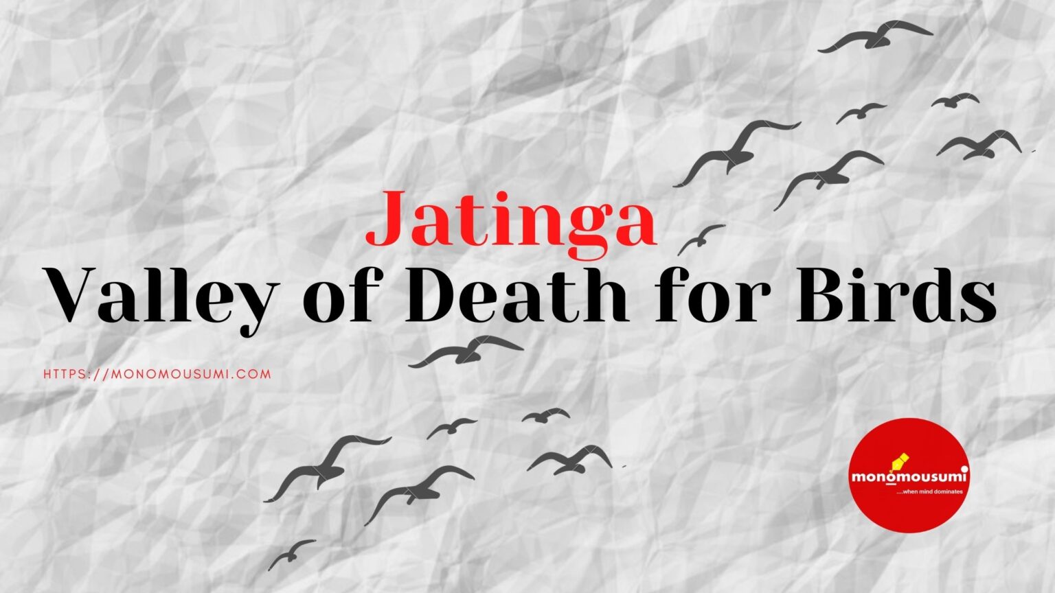 Jatinga- Valley of Death for Birds | 'Monomousumi'