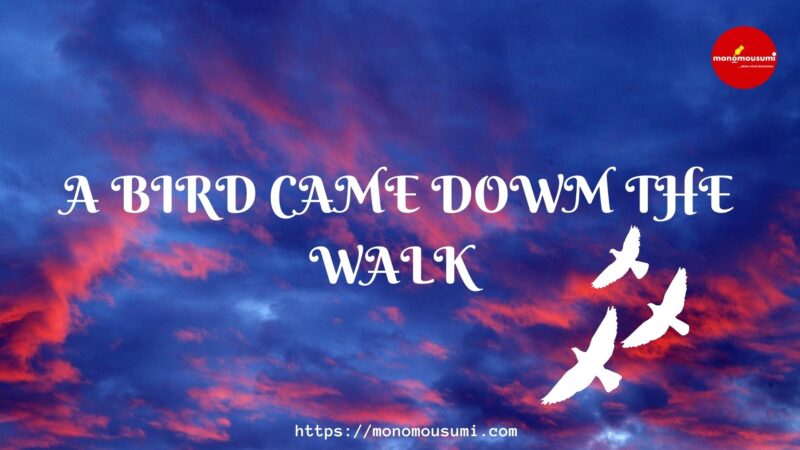 A BIRD CAME DOWM THE WALK BY EMILY DICKINSON | 'Monomousumi'