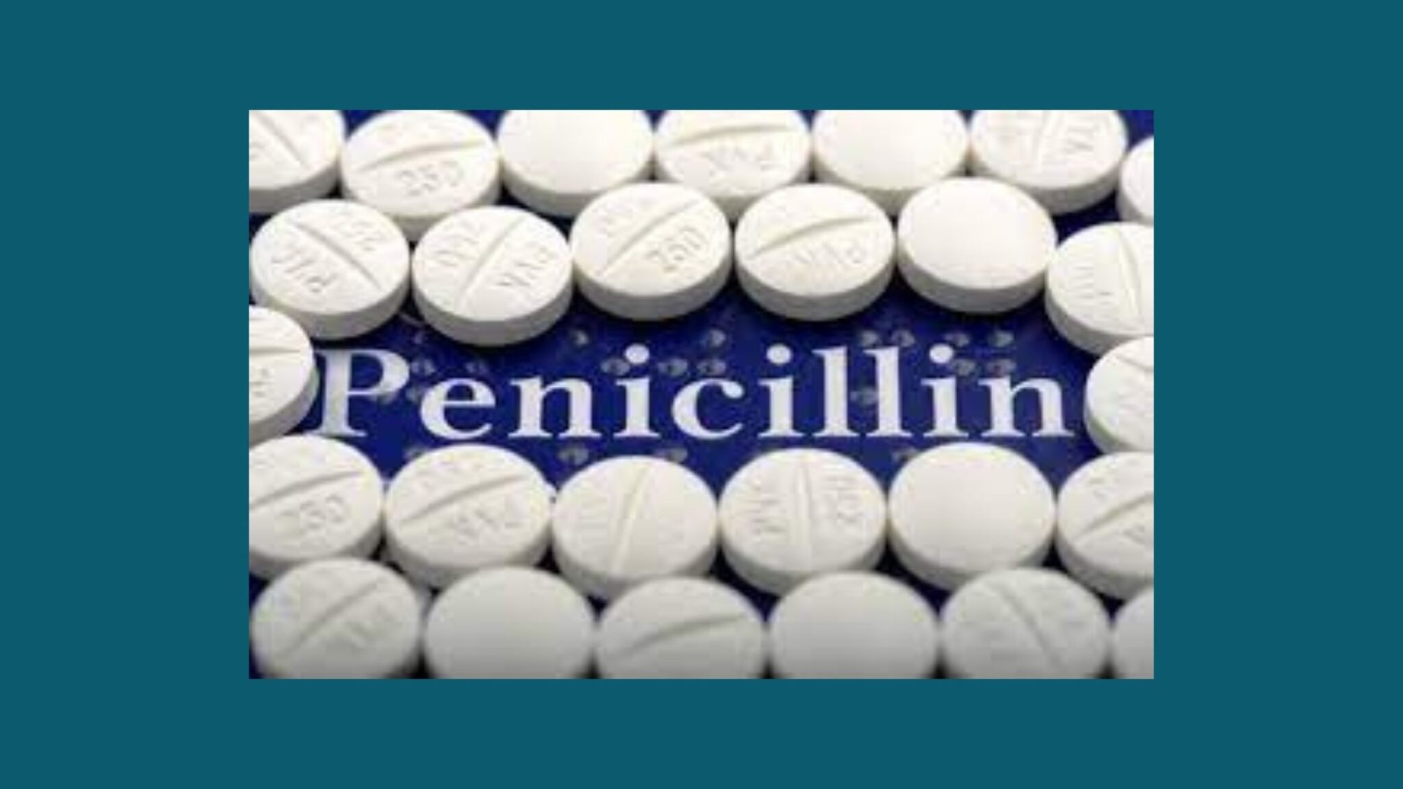 The Accidental Discovery of Penicillin | 'Monomousumi'