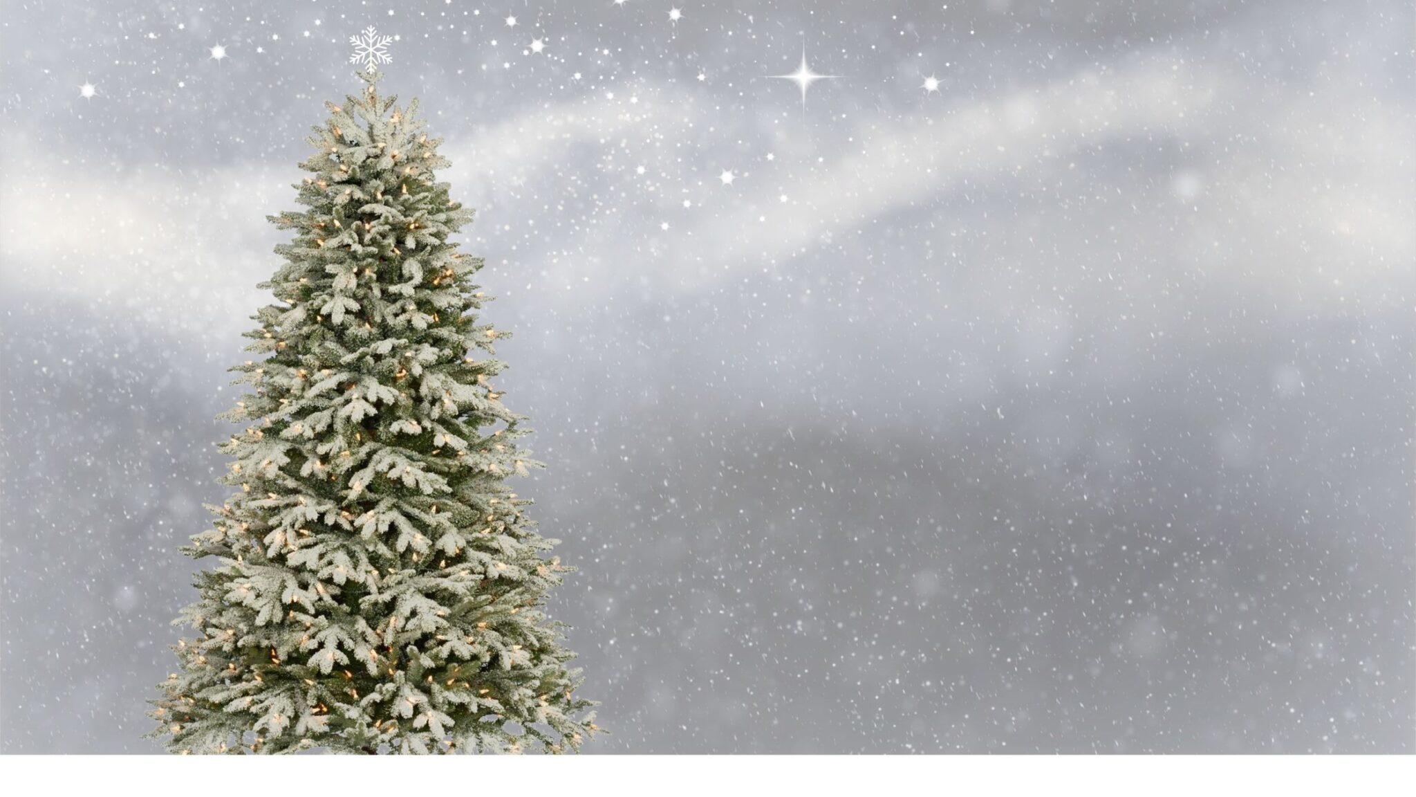 The Magical Christmas Tree | 'Monomousumi'