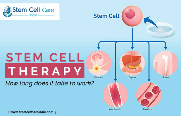 Pros and Cons of Stem Cell Therapy What You Should Know | 'Monomousumi'