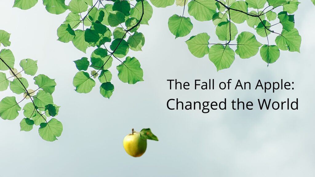 The Fall of An Apple: Changed the World | 'Monomousumi'