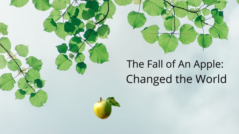 The Fall of An Apple: Changed the World | 'Monomousumi'