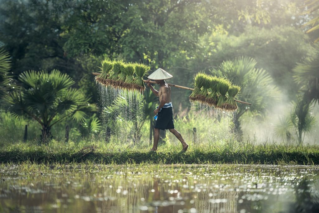 7 Ways to make the rural life better | 'Monomousumi'