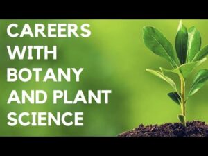 Careers in Botany | Scope -Eligibility-Job | 'Monomousumi'