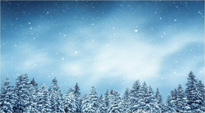 These Cold Nights | 'Monomousumi'