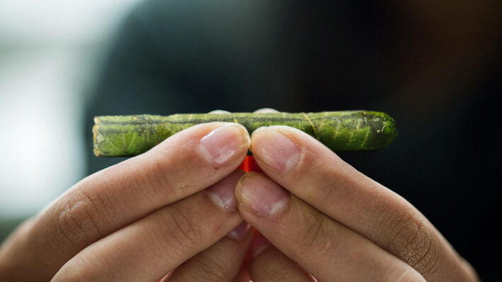 What Are Thai Sticks, and How Are They Made? | 'Monomousumi'