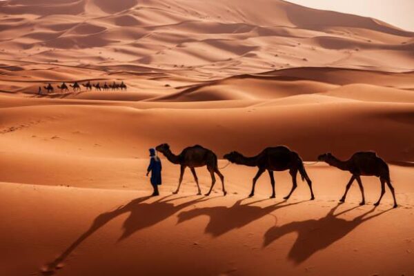 Discovering the vastness of Asia’s greatest desert, the Great Gobi ...